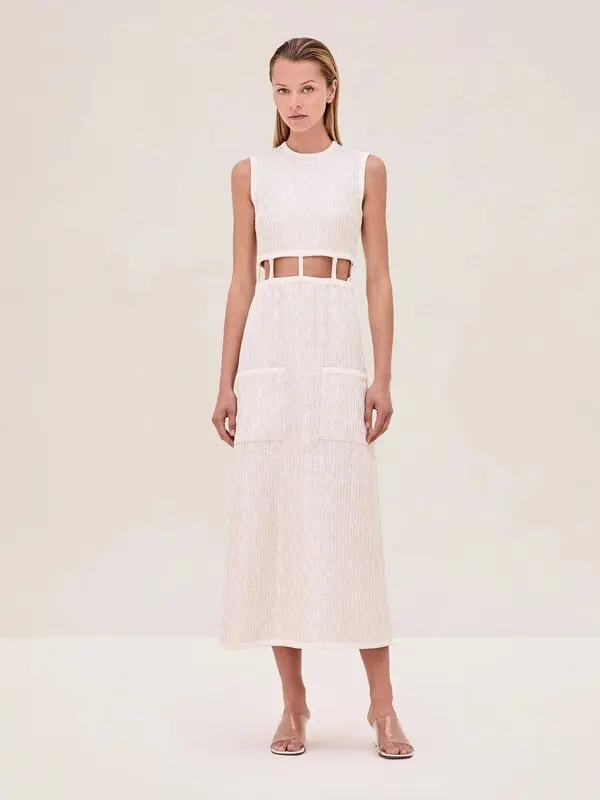 Alexis Renee Jacquard Midi Dress - Silver
