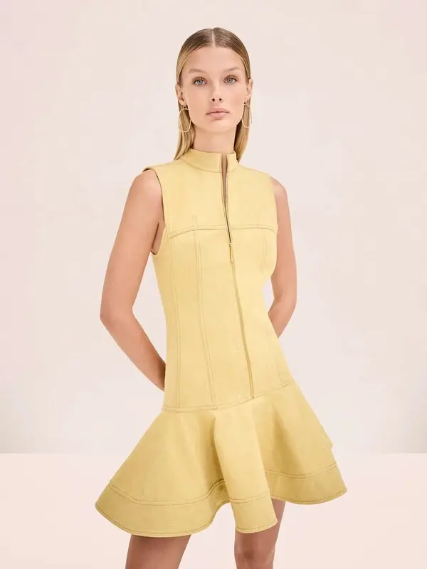 Alexis Taylin Mini Dress - Husk