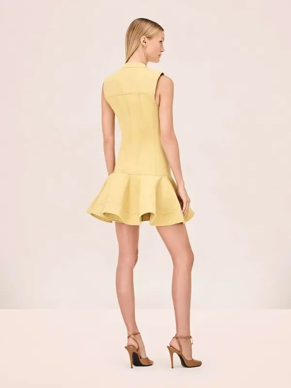 Alexis Taylin Mini Dress - Husk