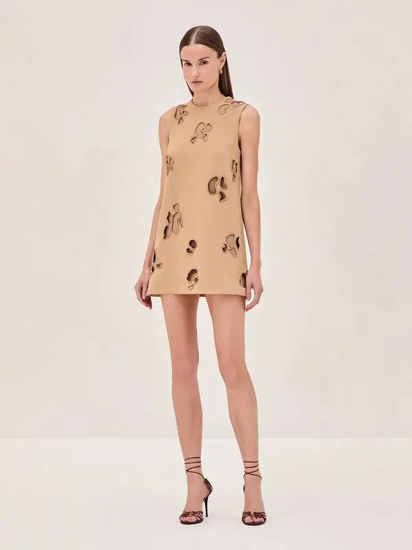 Alexis Ali Dress - Beige