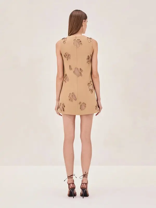 Alexis Ali Dress - Beige
