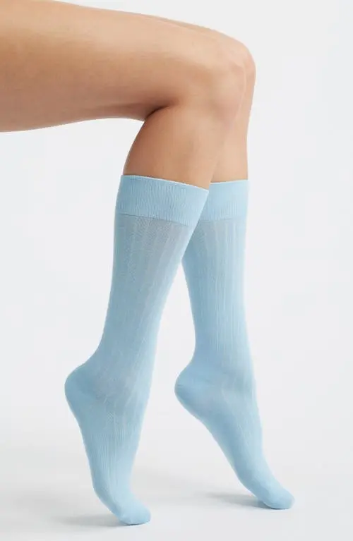 HIGH HEEL JUNGLE Arcade Stripe Crew Socks - Sky Blue