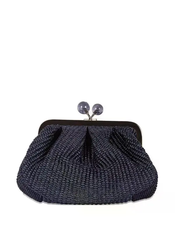 Max Mara Pasticcino Mini Bag
