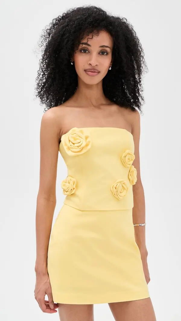 Line & Dot Eleodra Tube Top