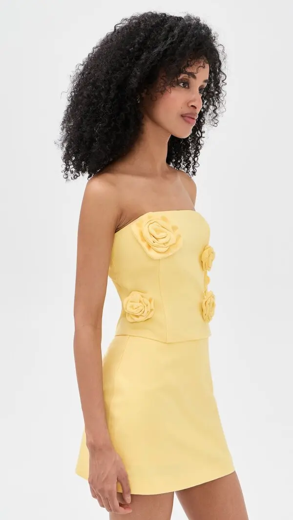 Line & Dot Eleodra Tube Top