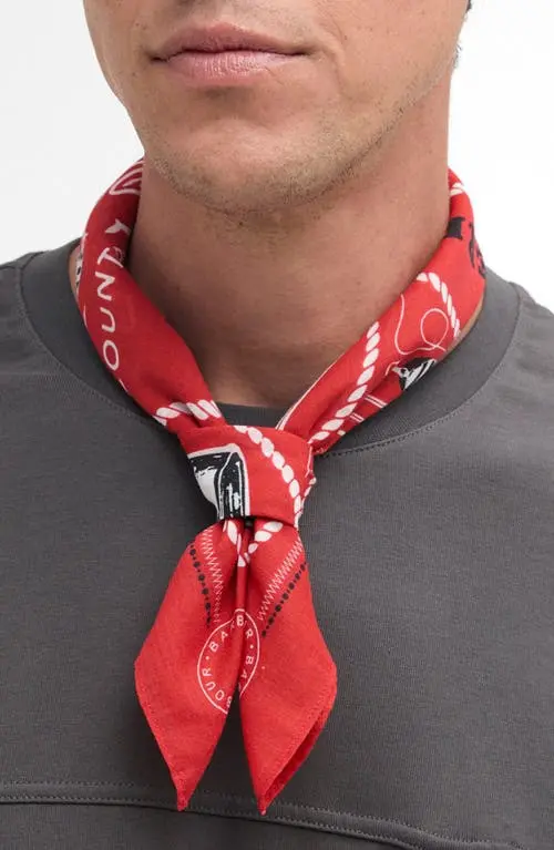 Barbour Heritage Print Cotton Bandana Scarf - Red