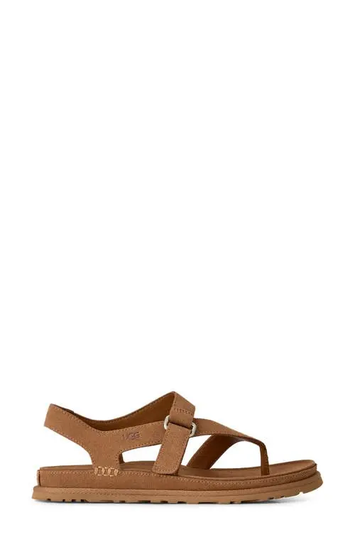 UGG Toe Post Suede Sandal - Chestnut