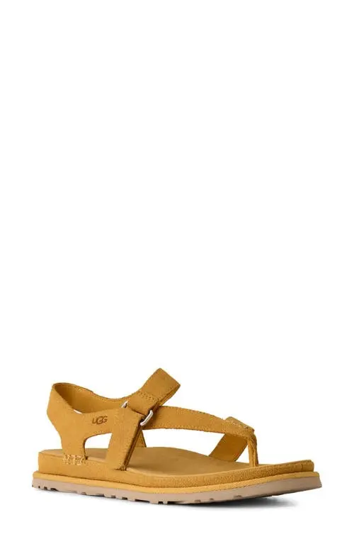 UGG Toe Post Suede Sandal - Wheat Field