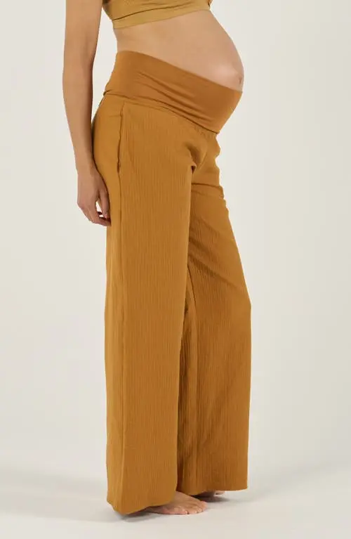 CACHE COEUR Celia Maternity Pants - Cumin