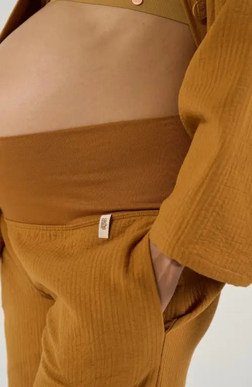 CACHE COEUR Celia Maternity Pants - Cumin