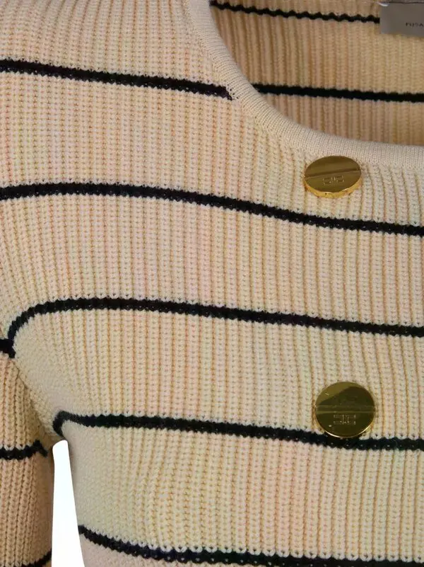 Elisabetta Franchi Striped Button-fastening Cardigan