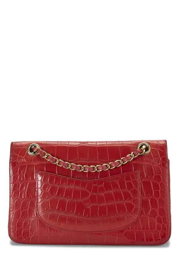 Chanel Classic Double Flap Shoulder Bag