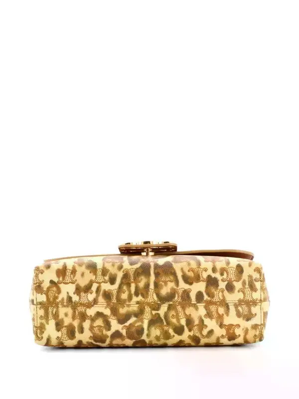 Celine Victoire Flap Printed Triomphe Coated Canvas Medium Shoulder Bag