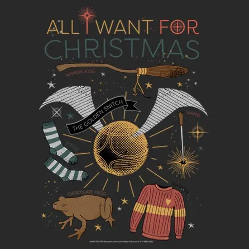 HARRY POTTER All I Want For Wizard Christmas Graphic T-shirt