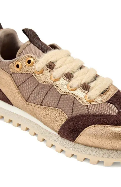 ALLSAINTS Nevis Sneaker - Bronze/brown