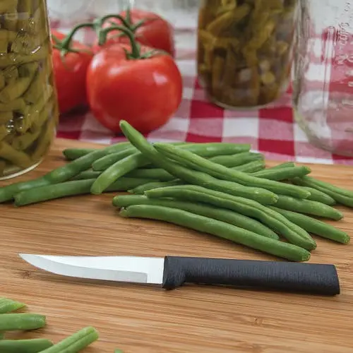 RADA Cutlery Heavy Duty 3.25-inch Paring Knife - Black