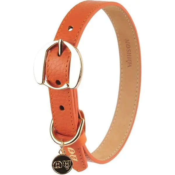 MOSHIQA Hachiko Dog Collar