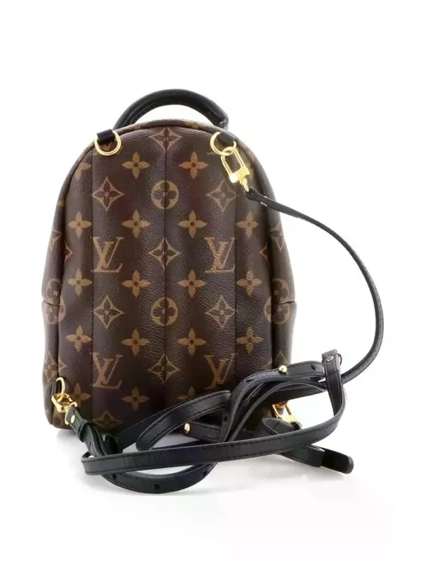 LOUIS VUITTON Palm Springs Monogram Canvas Mini Backpack - Brown