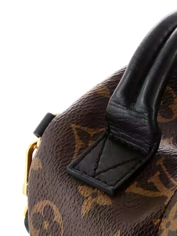 LOUIS VUITTON Palm Springs Monogram Canvas Mini Backpack - Brown