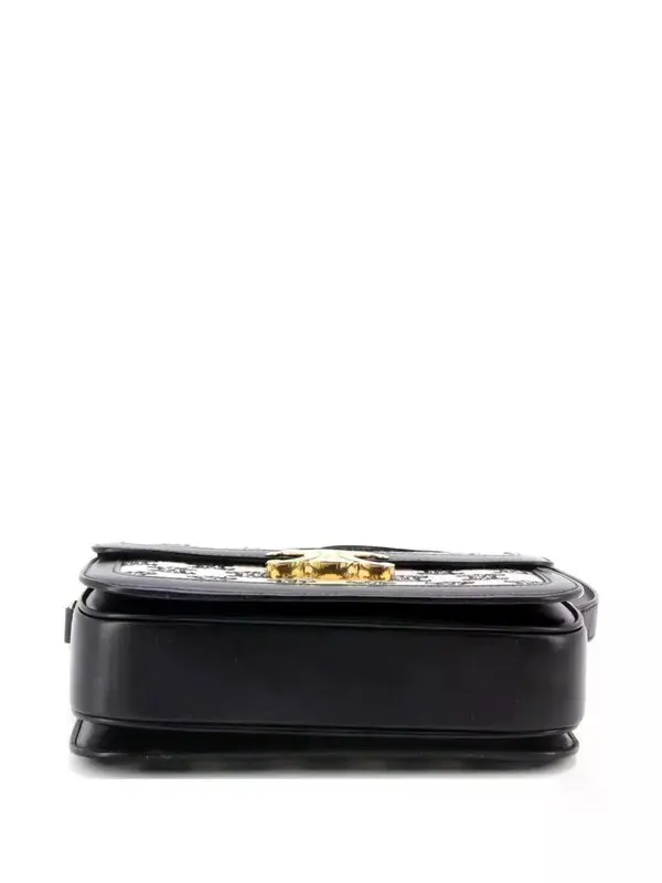 Celine Triomphe Canvas Medium Shoulder Bag