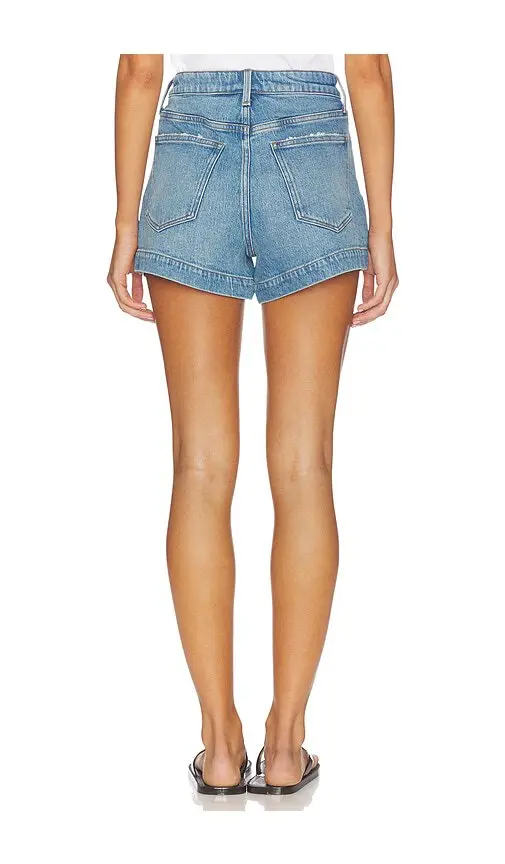 Joe's Jeans The Alex Shorts