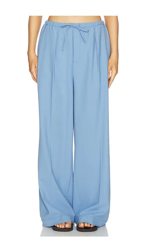 Closed Wynston Wide Leg Pants In Blue - Sky Blue