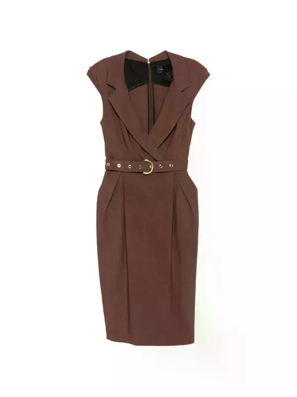 Pinko Amadine Belted Midi Dress - Brown
