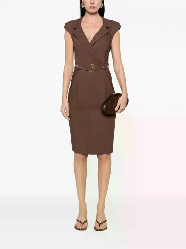 Pinko Amadine Belted Midi Dress - Brown