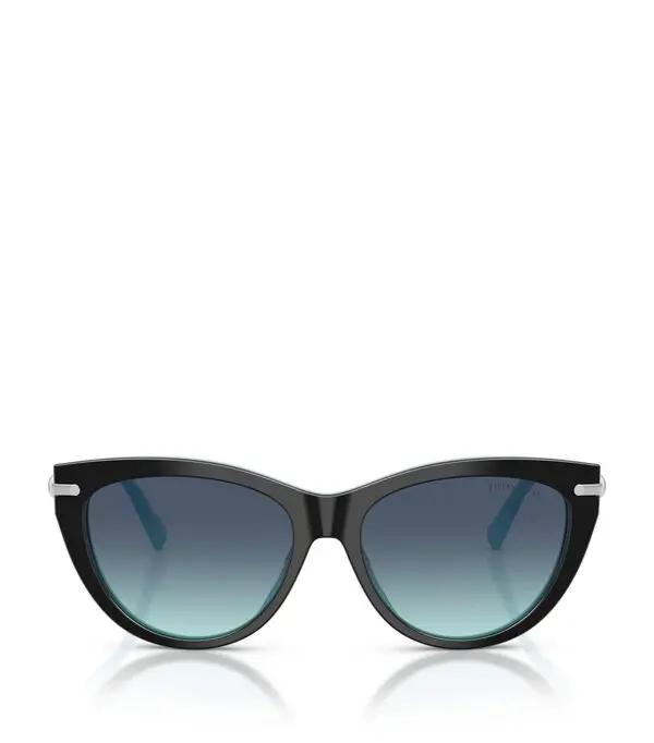 Tiffany & Co. Acetate Cat Eye Tf4253 Sunglasses - Black