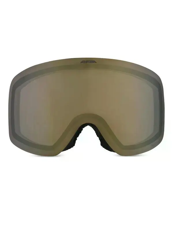 ALPINA Penken Q-lite Ski Goggles - Grey