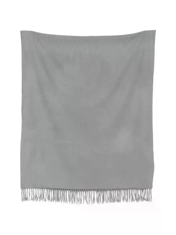 Hermès Cashmere Scarf - Grey