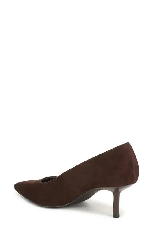 Nordstrom Libby Pointed Toe Pump - Brown Chicory