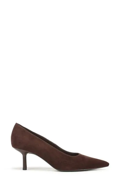 Nordstrom Libby Pointed Toe Pump - Brown Chicory