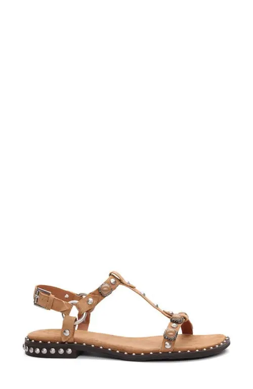 Ash Pebble Studded Ankle Strap Sandal - Moka Mou