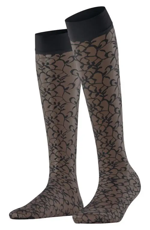 Falke Soft Spell Knee Highs