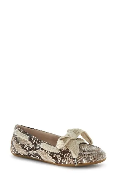 CANDICE COOPER Candy Boat Bow Loafer - Champagne