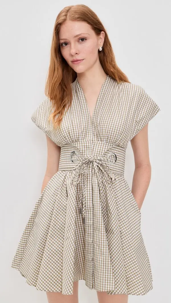 Alexis Alizee Gingham Mini Dress