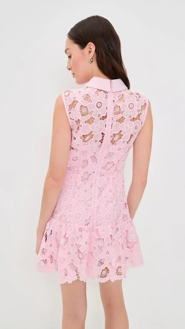 Self-Portrait Lace Collared Mini Dress In Pink | Editorialist