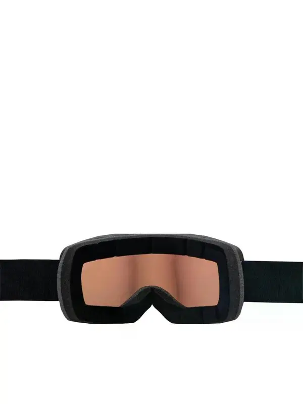 ALPINA Ski Goggles