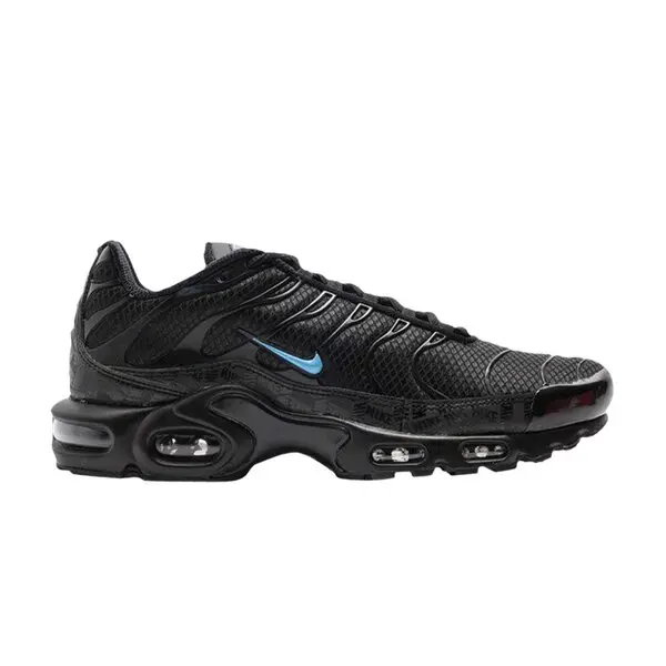 Nike Air Max Plus Tn Se - Black