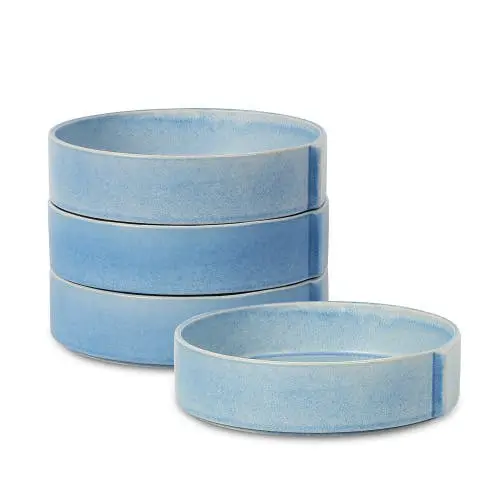STONE + LAIN Bao Stoneware 4-piece Pasta Bowl Set - Blue