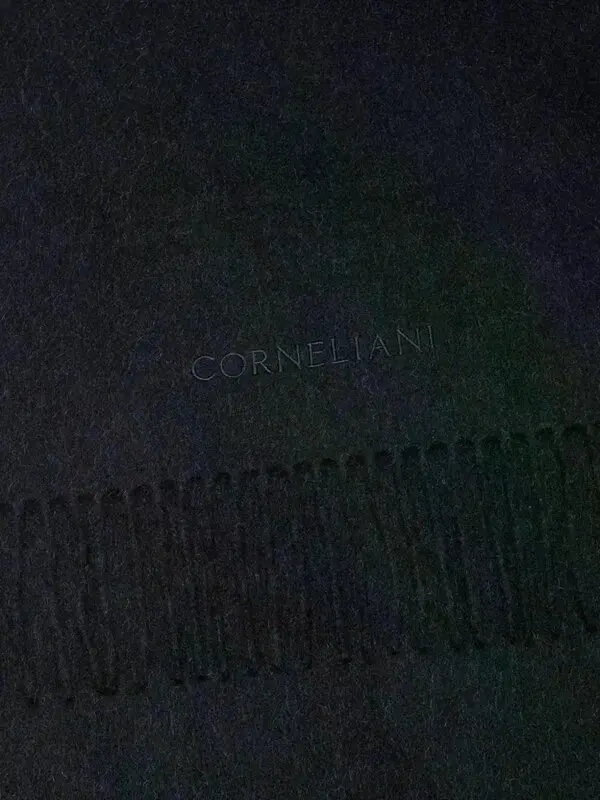 Corneliani Fringed Scarf - Blue