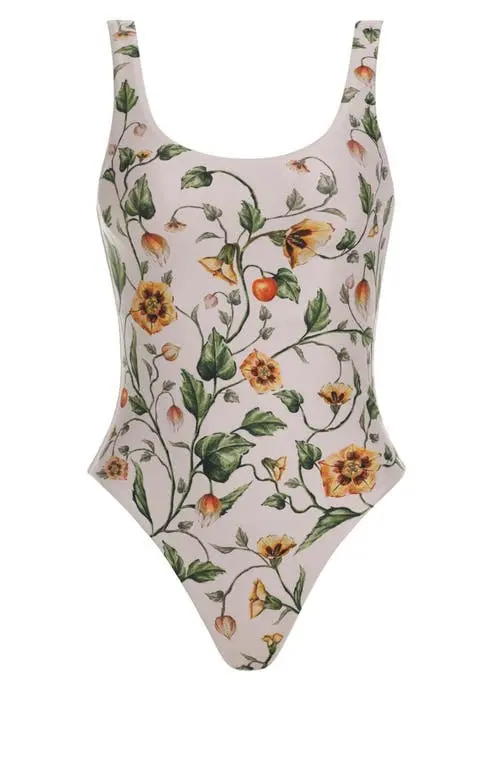 Agua Bendita Gema Uchuva One-piece Swimsuit - Multi