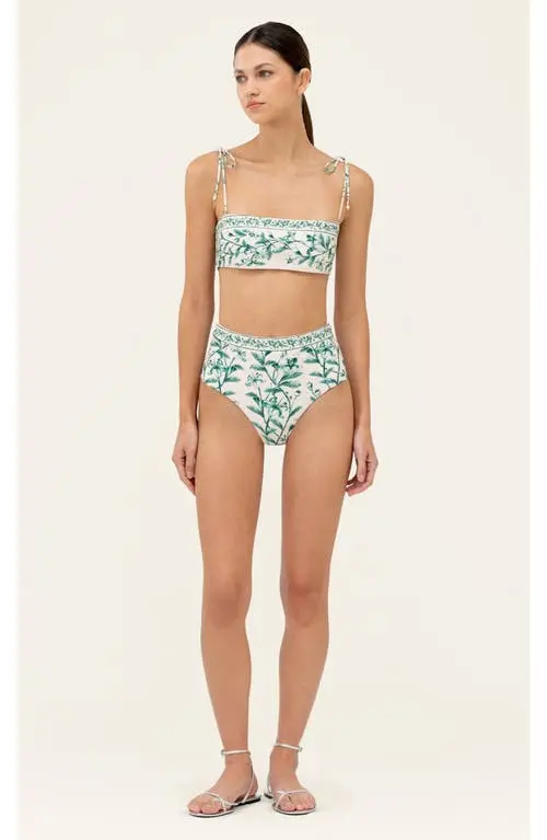 Agua Bendita Ceiba Bikini Bottom