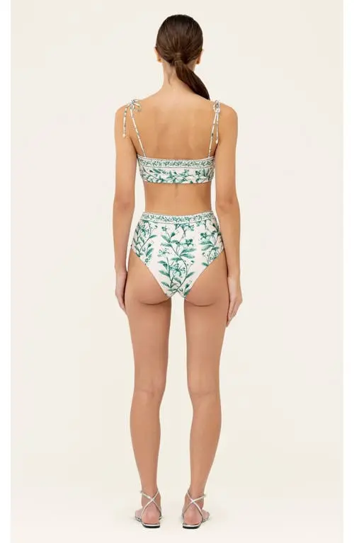 Agua Bendita Ceiba Bikini Bottom
