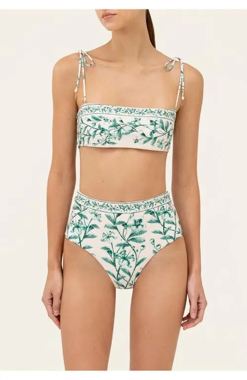 Agua Bendita Ceiba Bikini Bottom