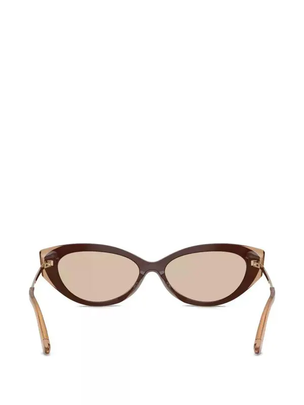 JIMMY CHOO Cat-eye Sunglasses
