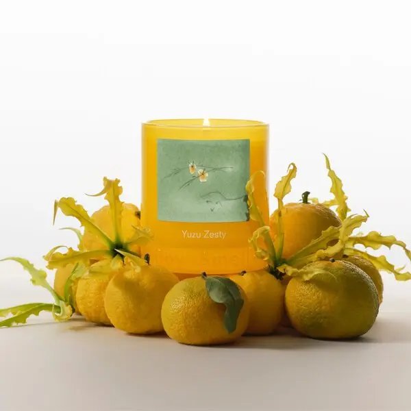 BOY SMELLS Yuzu Zesty Standard Candle, 8.5 Oz