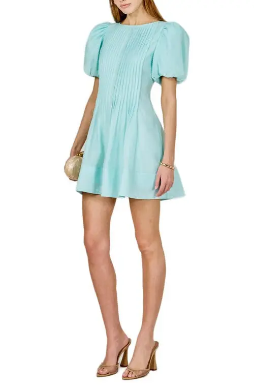 Endless Rose Puff Sleeve Minidress