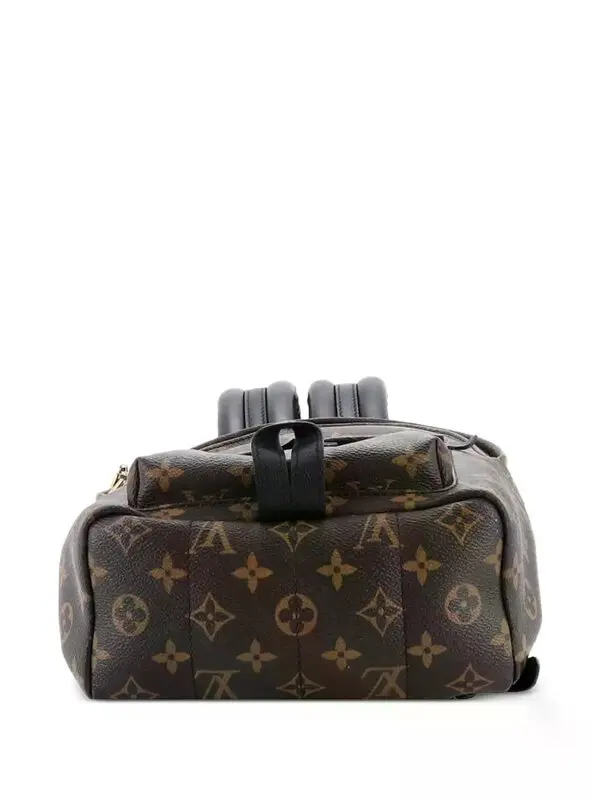 LOUIS VUITTON Palm Springs Monogram Canvas Pm Backpack - Brown